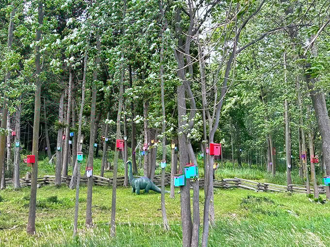 Peaceful coexistence: Tree swallows find sanctuary in these cheerful homes while keeping the mosquito population in check.