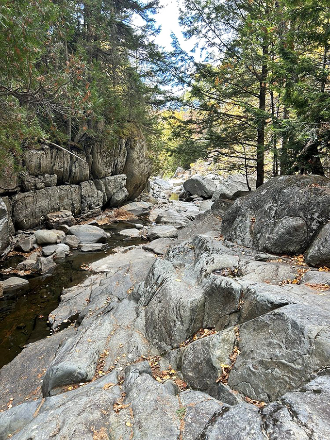 Granite sentinels stand guard over the stream bed, shaped by centuries of patient water that never takes a day off.