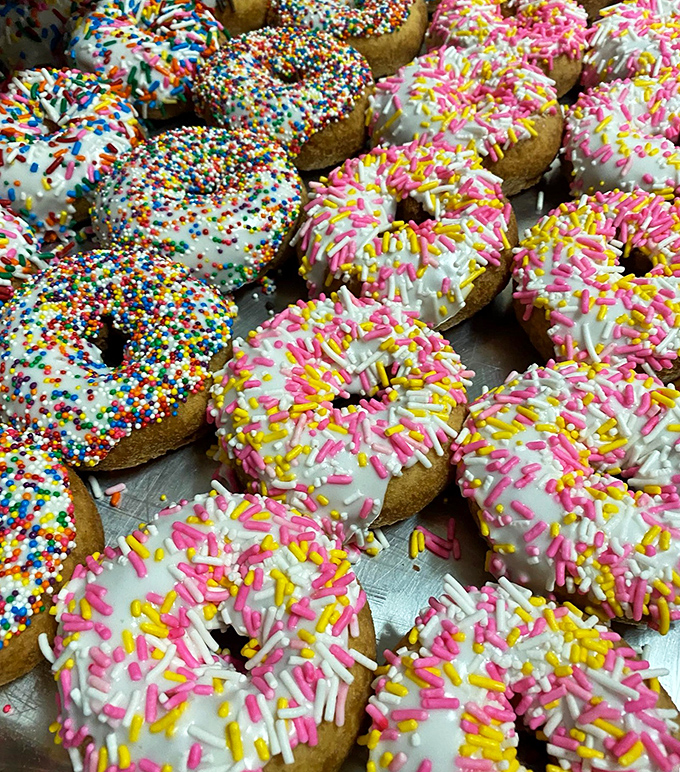 Sprinkle donuts lined up like colorful soldiers ready for delicious battle. One bite and you'll understand why people willingly wake up early on Saturdays.