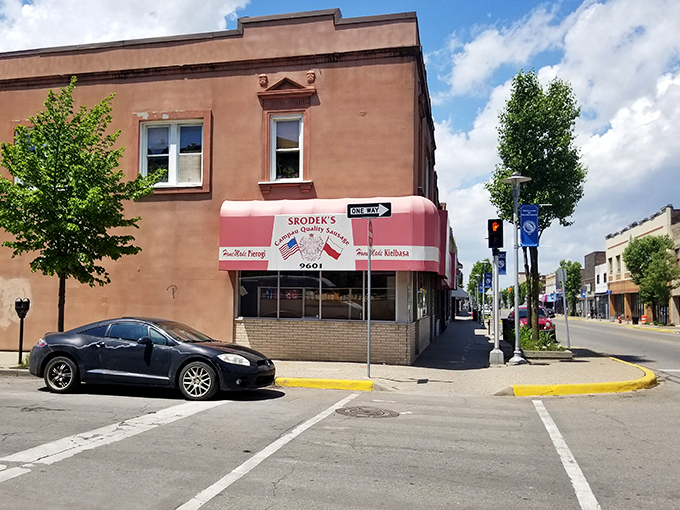 Srodek's Campau Quality Sausage Co. isn't just a store – it's a Hamtramck institution where Polish culinary traditions are preserved one delicious sausage at a time.