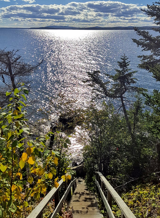 Wooden stairs descend to a sparkling bay view – the reward for your hiking efforts that beats any stair-climber at the gym.
