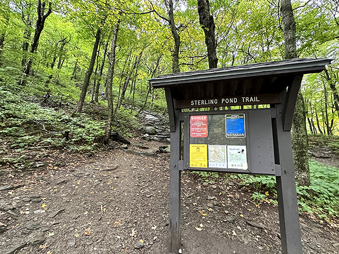 The trailhead announcement board &ndash; where adventures begin and cell phone signals start to question their life choices.