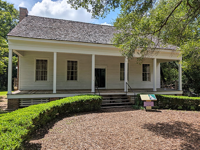 This historic homestead at the Tallahassee Museum whispers stories of Florida's past through its weathered wooden porch and simple elegance.