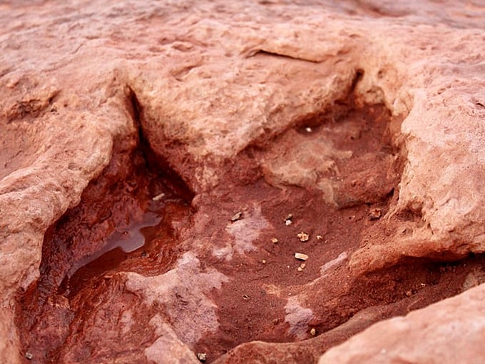 Water-filled depressions in the ancient rock surface &ndash; perhaps once drinking spots for thirsty dinosaurs.