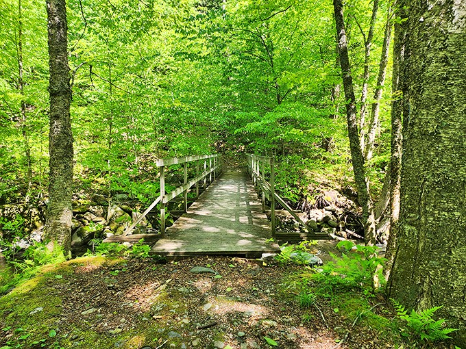 This charming wooden footbridge seems to whisper, "Cross me if you dare!" &ndash; though the only danger is falling in love with the babbling brook below.