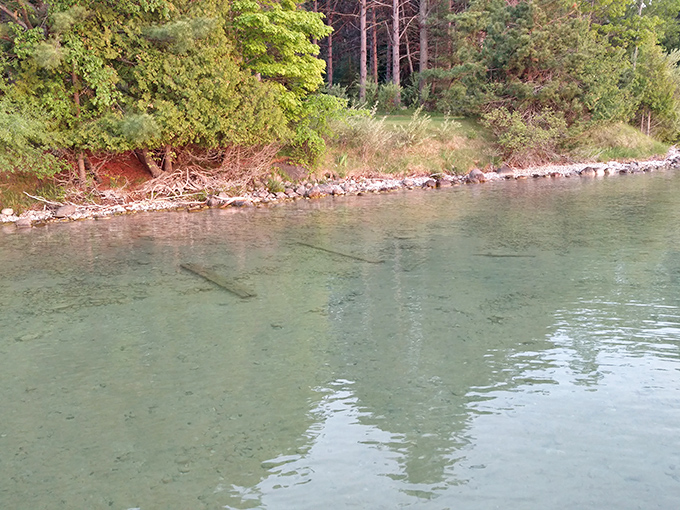 Mother Nature's mirror The shoreline trees stand in quiet contemplation of their perfect reflections in Elk Lake's still waters.