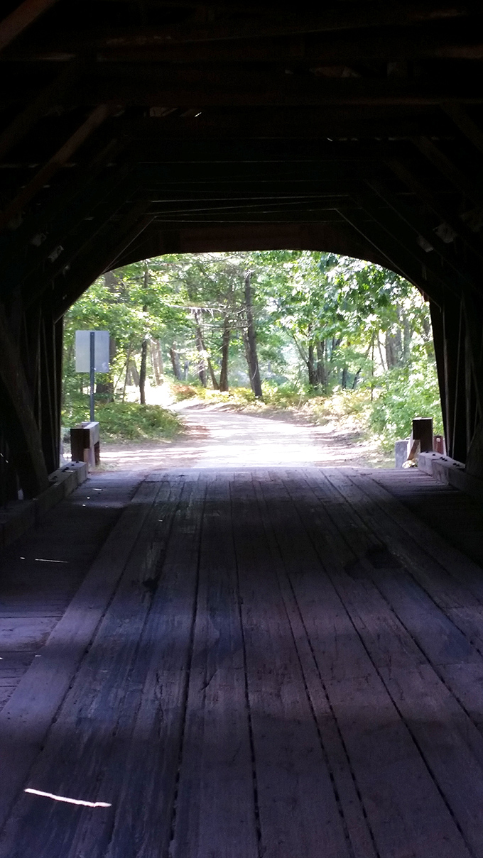 From inside looking out: the bridge frames a perfect portal to nature, inviting exploration beyond its wooden threshold.