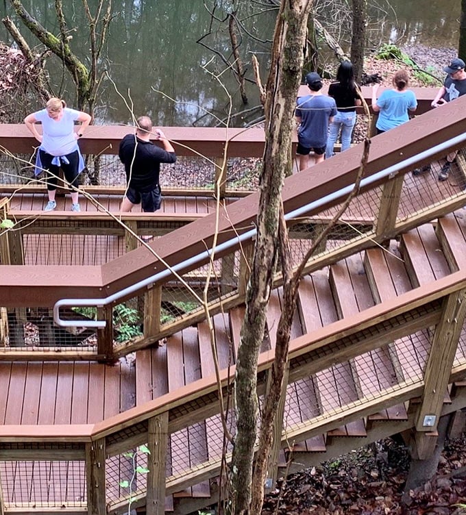 Curious explorers lean against the railing, mesmerized by the primordial basin below, wondering what secrets lie at the bottom.