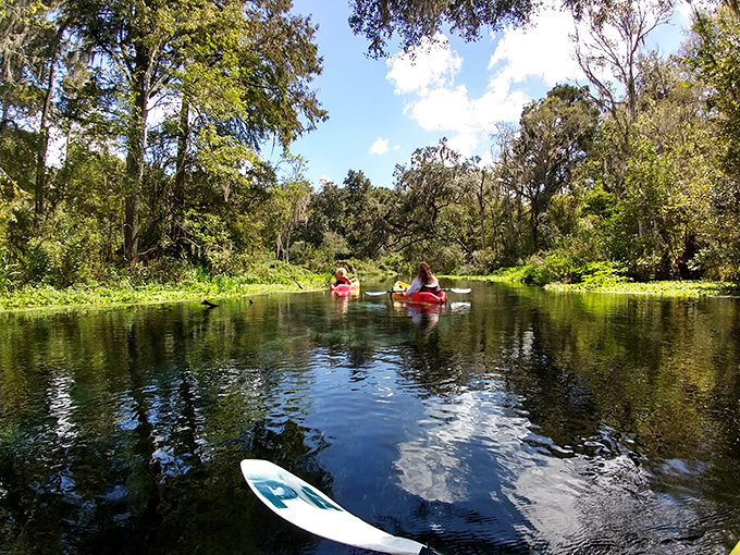 Kayakers paddle through a living postcard, where every direction offers another "stop-and-stare" moment of natural beauty.