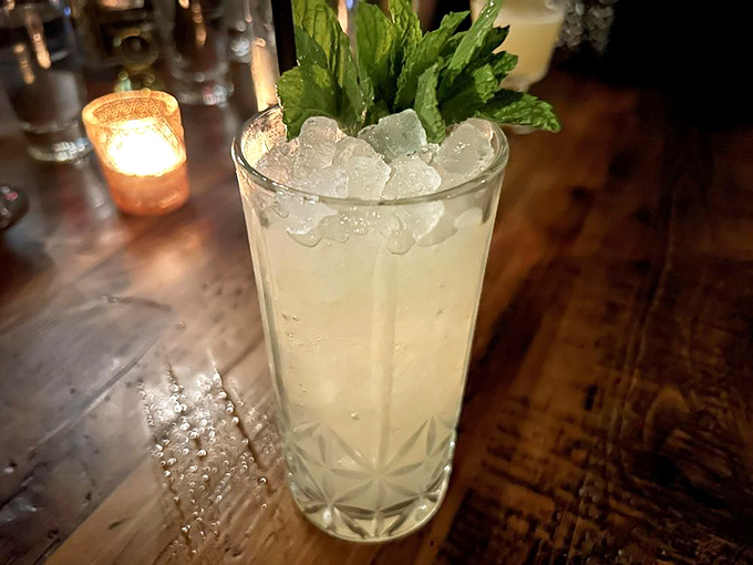 A refreshing oasis in a crystal glass: This mint-garnished cocktail promises relief from Wisconsin summer heat with every ice-cold sip.