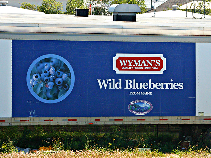 Wyman's trucks carry Maine's blue gold across the country &ndash; these aren't just berries, they're tiny ambassadors of Cherryfield.