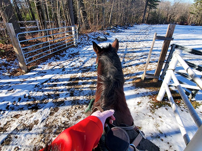 Through snow-covered fields they go, each rider experiencing winter's embrace from the best seat in the house – atop a trusted steed.