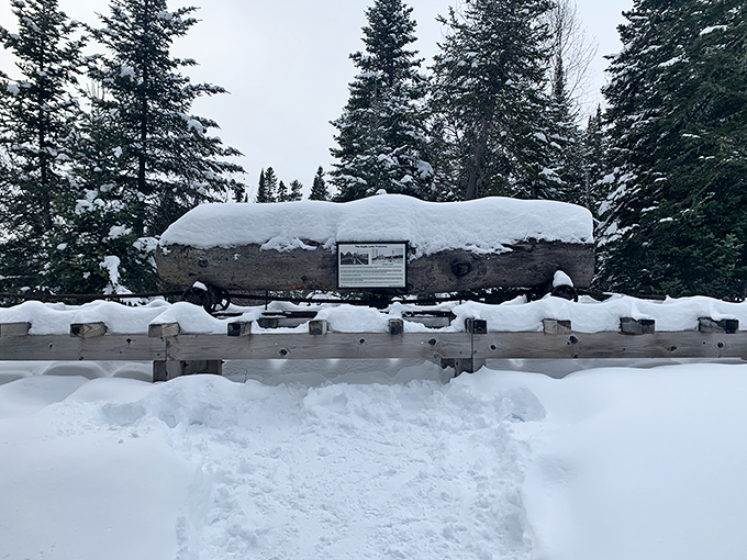 Winter transforms the abandoned locomotives into snow-capped monuments, silent witnesses to Maine's harshest season.