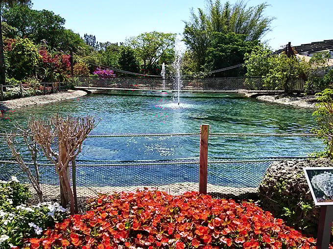 Tranquility with a splash: the lagoon's fountain creates a soothing soundtrack that makes butterfly-watching even more meditative.