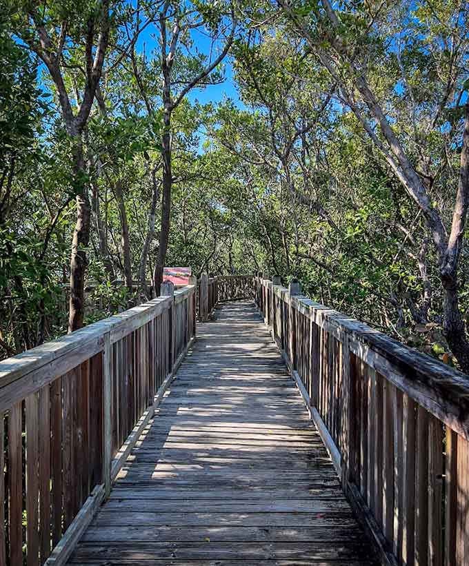 This wooden boardwalk seems to float through a sea of green, offering safe passage while preserving the delicate ecosystem beneath.
