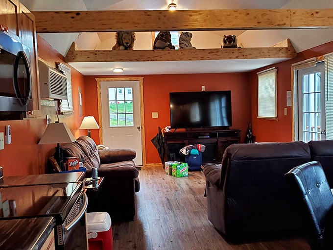 Living room with a roar: Inside the overnight accommodation, comfort meets wilderness with subtle big cat touches.