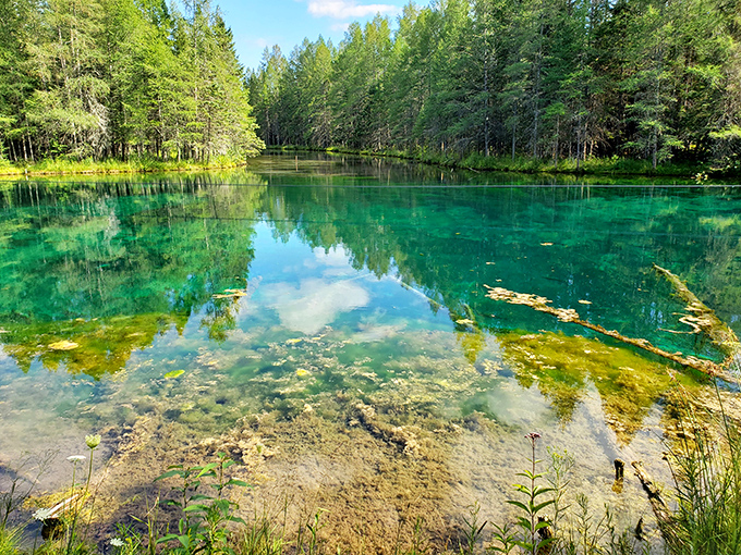 Peer into Kitch-iti-kipi's depths and you'll spot fallen logs preserved like natural sculptures in the mineral-rich waters.