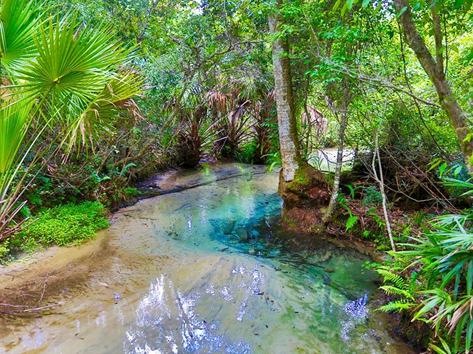 The spring-fed creek flows with water so clear you'll wonder if someone secretly drained it and replaced it with Evian.