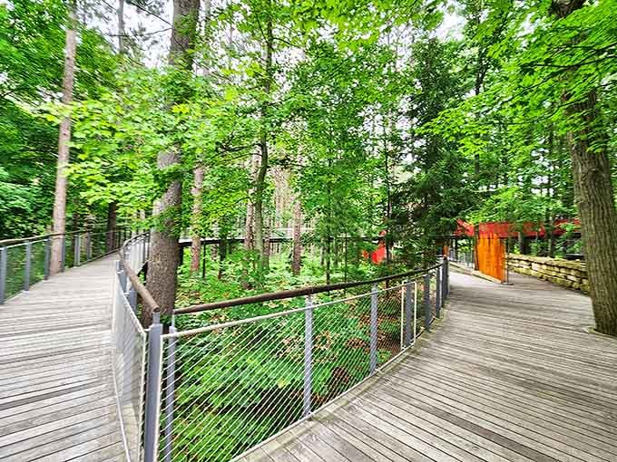 The elevated walkway meanders through the forest like a wooden ribbon, inviting explorers to discover what lies around each bend.