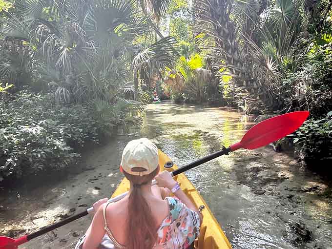 Paddling through Juniper Creek feels like exploring a secret waterway where the only traffic jam involves a particularly stubborn turtle crossing your path.