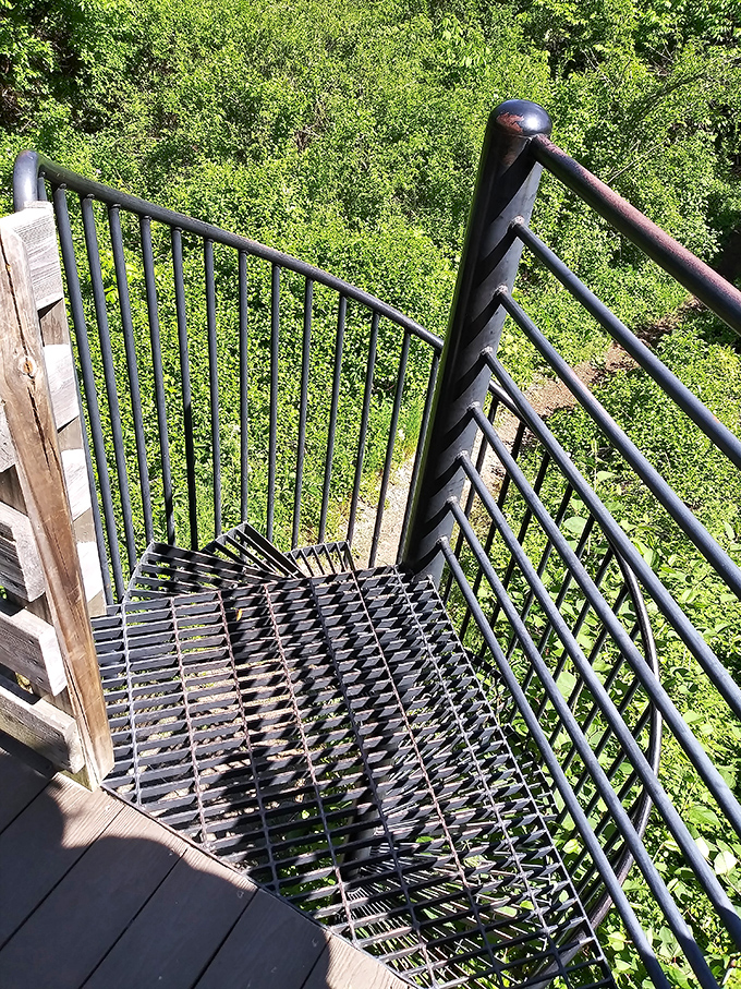 Metal spiral stairs wind downward into lush greenery, an unexpected architectural surprise hidden in the forest.