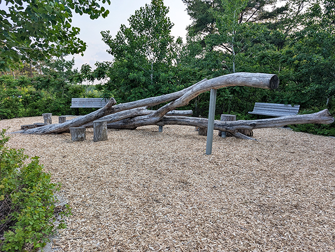 Weathered logs arranged with perfect imperfection invite climbing, balancing, and the occasional dramatic "I'm king of the world!" moment.