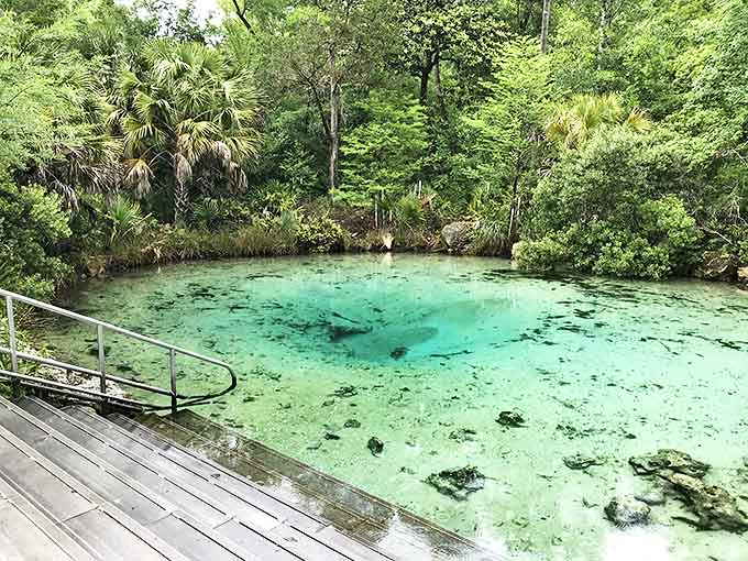 Mother Nature's infinity pool: The spring's impossibly clear waters create a natural aquarium where the boundary between air and water seems to disappear.