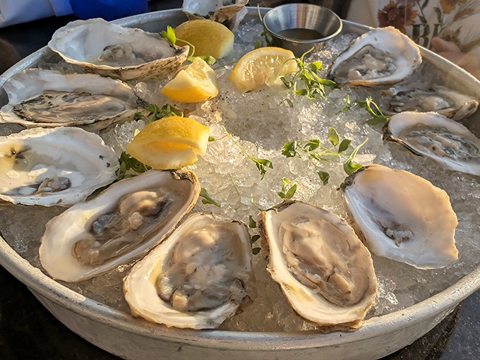 Fresh oysters on ice &ndash; nature's perfect appetizer. These briny treasures need nothing more than a squeeze of lemon and good company.