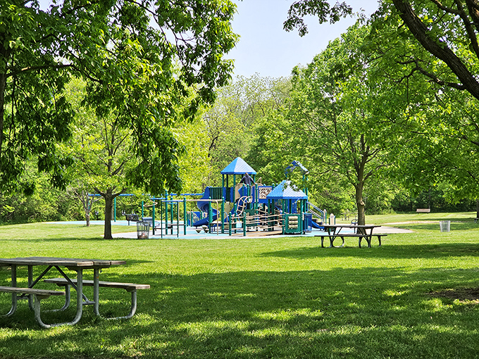 Childhood joy awaits at Whitnall Park's playground, where little adventurers can climb and swing surrounded by nature's embrace.
