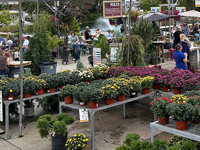 A rainbow of blooms transforms shopping carts into mobile gardens, proving flowers are food for the soul at Horrocks.