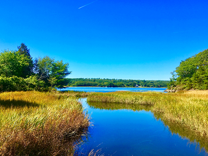 The Bald Head Preserve showcases Maine's natural beauty with marshlands reflecting the sky like nature's perfect mirror.