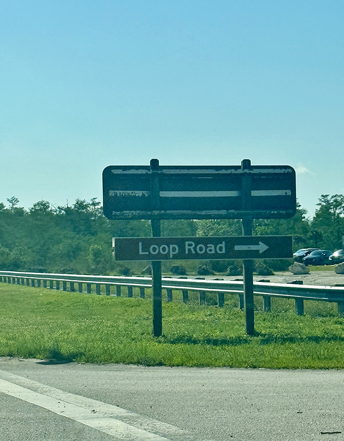The sign says "Loop Road," but locals know it as "The Wild Side of Florida That Disney Can't Replicate."