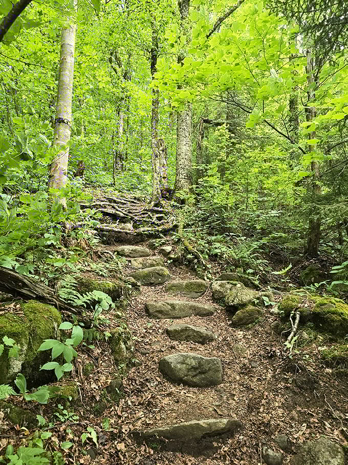 Not just any old path &ndash; these ancient stone steps feel like they're leading straight into a fantasy novel.