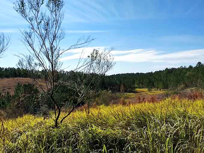 When Florida decides to show off its wild side, it doesn't mess around with the scenery or the sense of peaceful isolation.
