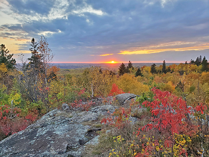 Autumn's fiery finale: Sunset ignites the landscape from Ely's Peak viewpoint, painting the wilderness in impossible hues of amber and crimson.