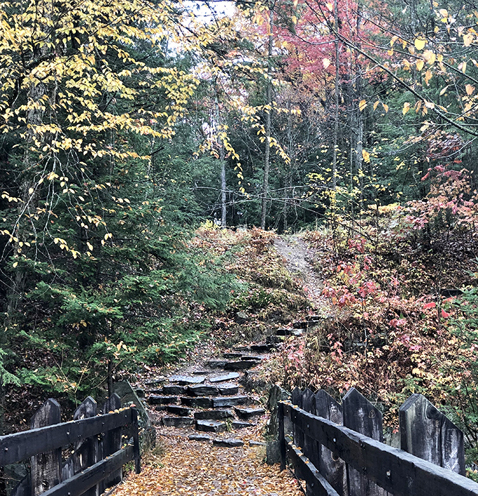 Autumn paints this rustic stone staircase with fallen leaves, creating a pathway that seems to lead straight into a woodland fairy tale.