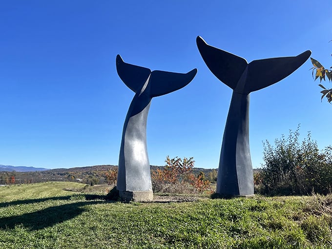 Massive in scale yet graceful in form, the whale tails invite visitors to experience art from every angle.