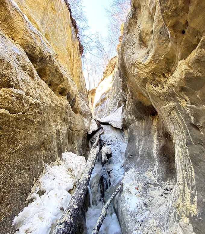 Narrow passages wind between smooth stone walls, offering a Minnesota adventure that rivals the famous slot canyons of the Southwest.