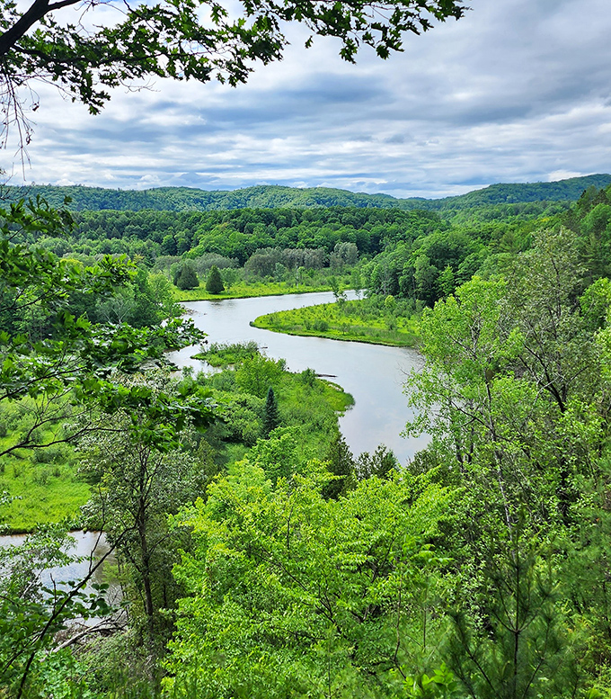 From these bluffs, the Manistee River looks like a blue ribbon carefully placed among Michigan's emerald forests.