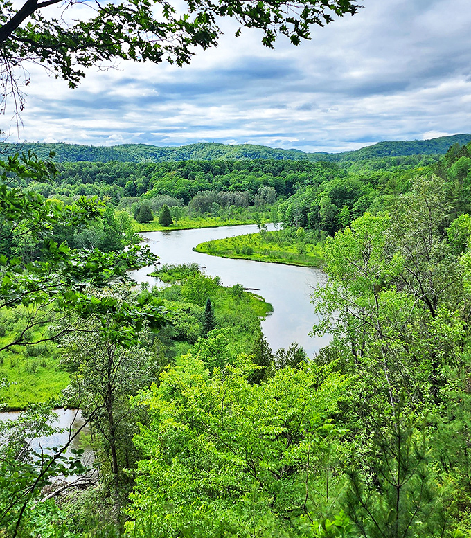 From these majestic bluffs, the Manistee River unfolds below like a blue ribbon carelessly dropped by a giant across Michigan's green carpet.