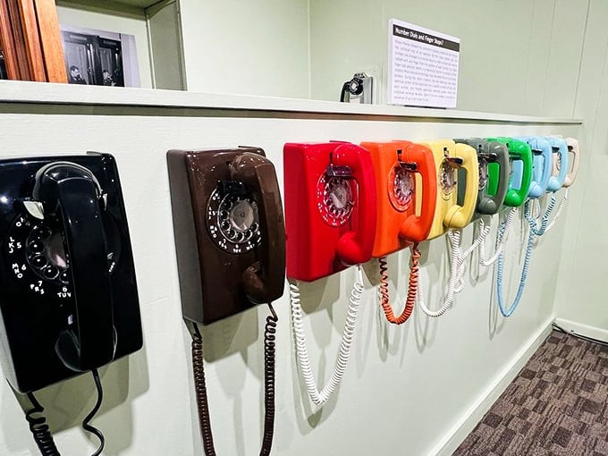 A rainbow of rotary relics lines the wall &ndash; when phones were furniture and "hanging up" meant exactly that.