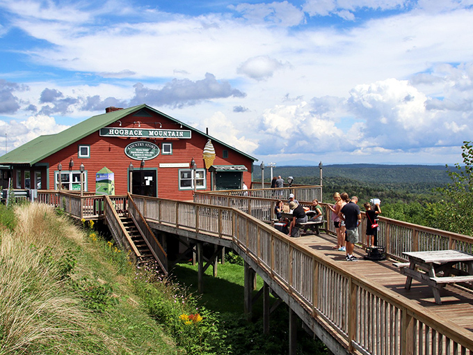 Winter's wooden catwalk, where even the barren trees can't diminish the majesty of Vermont's snow-dusted landscape.