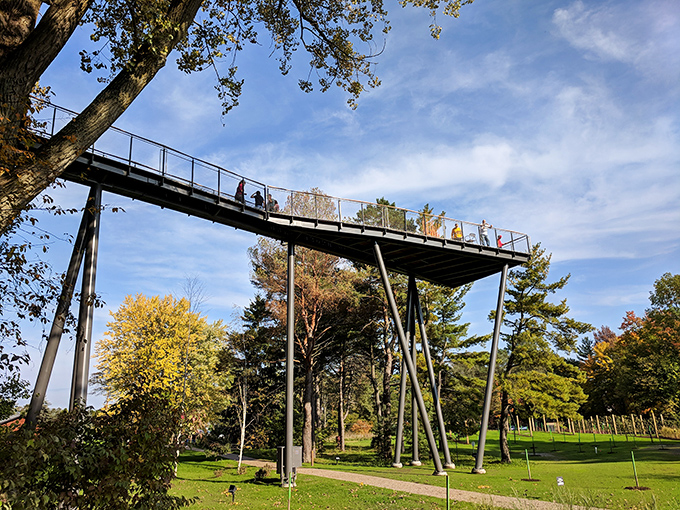 Visitors on the Canopy Walk: "Look Ma, I'm walking on air!" Families discover the joy of seeing the world from a bird's perspective.