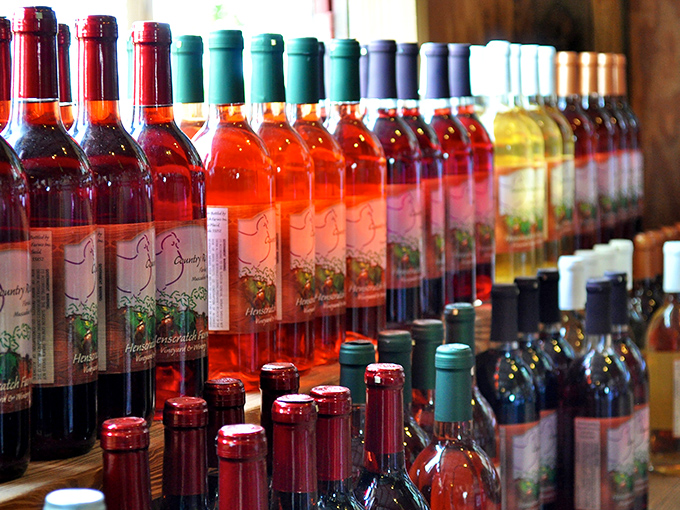 A rainbow of house-made wines lines the shelves, each bottle containing sunshine and Southern hospitality in liquid form.
