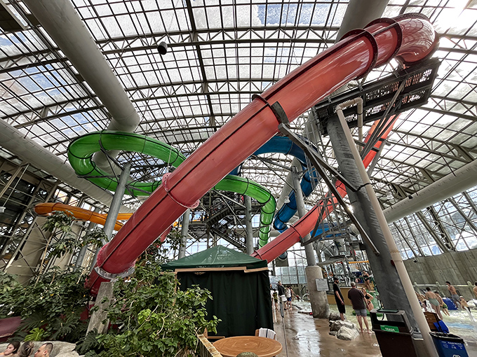 Colorful waterslides twist and turn overhead like giant straws, promising thrills that make you temporarily forget about the snow outside.