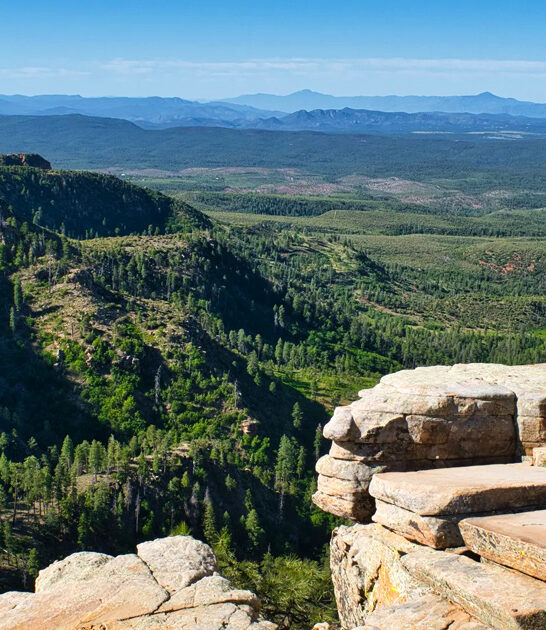 43 mile drive arizona ftr