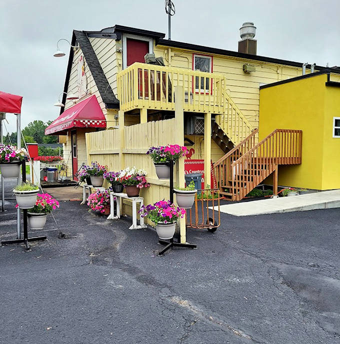 Peg's Countryside Cafe's cheerful yellow exterior and bright flower pots pop against the gray Minnesota sky. This storybook building houses some of Medina's most beloved comfort food!