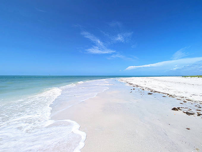 Shell Key Preserve's untouched shoreline creates a stunning contrast between emerald waters and white sand, accessible only by boat or kayak.