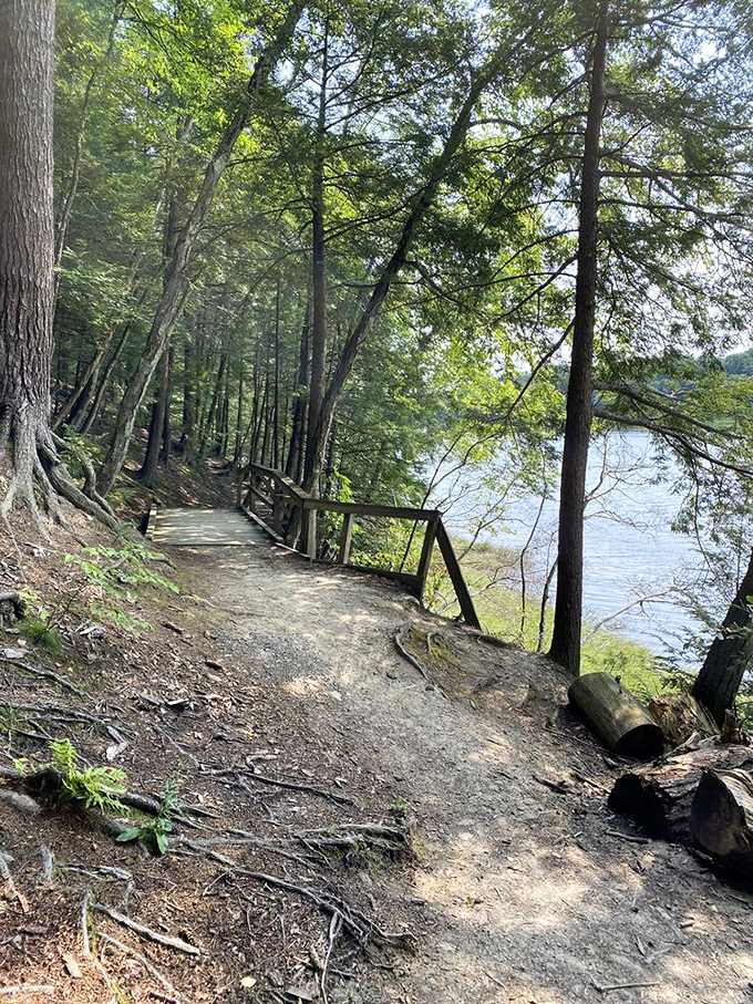 A tranquil section of the Salmon Falls River reflects the surrounding greenery – Maine's natural mirror at its finest.