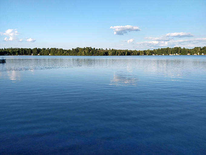 Bonny Eagle Pond's shoreline reveals winter's stark beauty, with bare trees creating dramatic silhouettes against the surprisingly clear waters. 